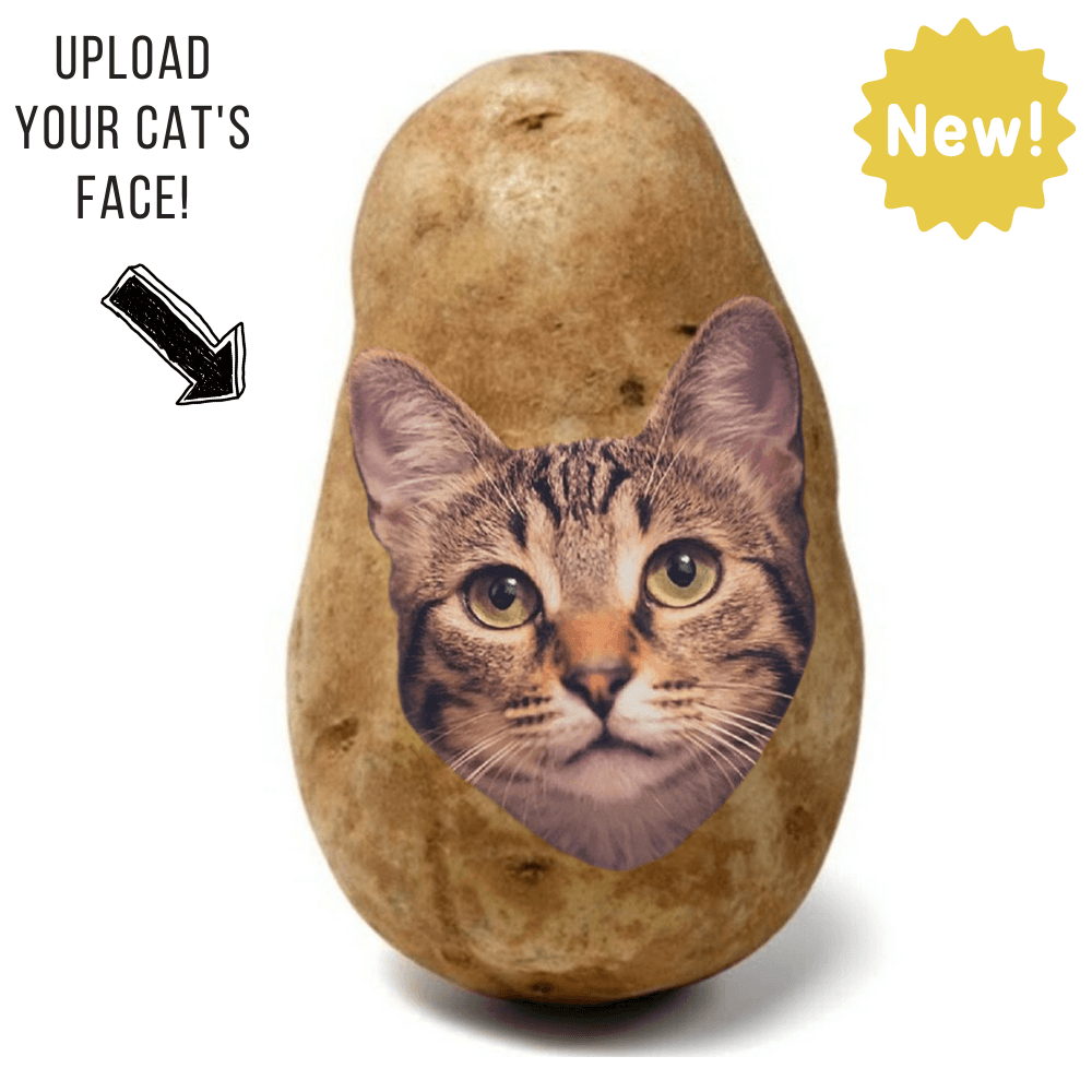 Potato Kitty | Your Cat's Face On A Real Potato! Upload And Customize ...